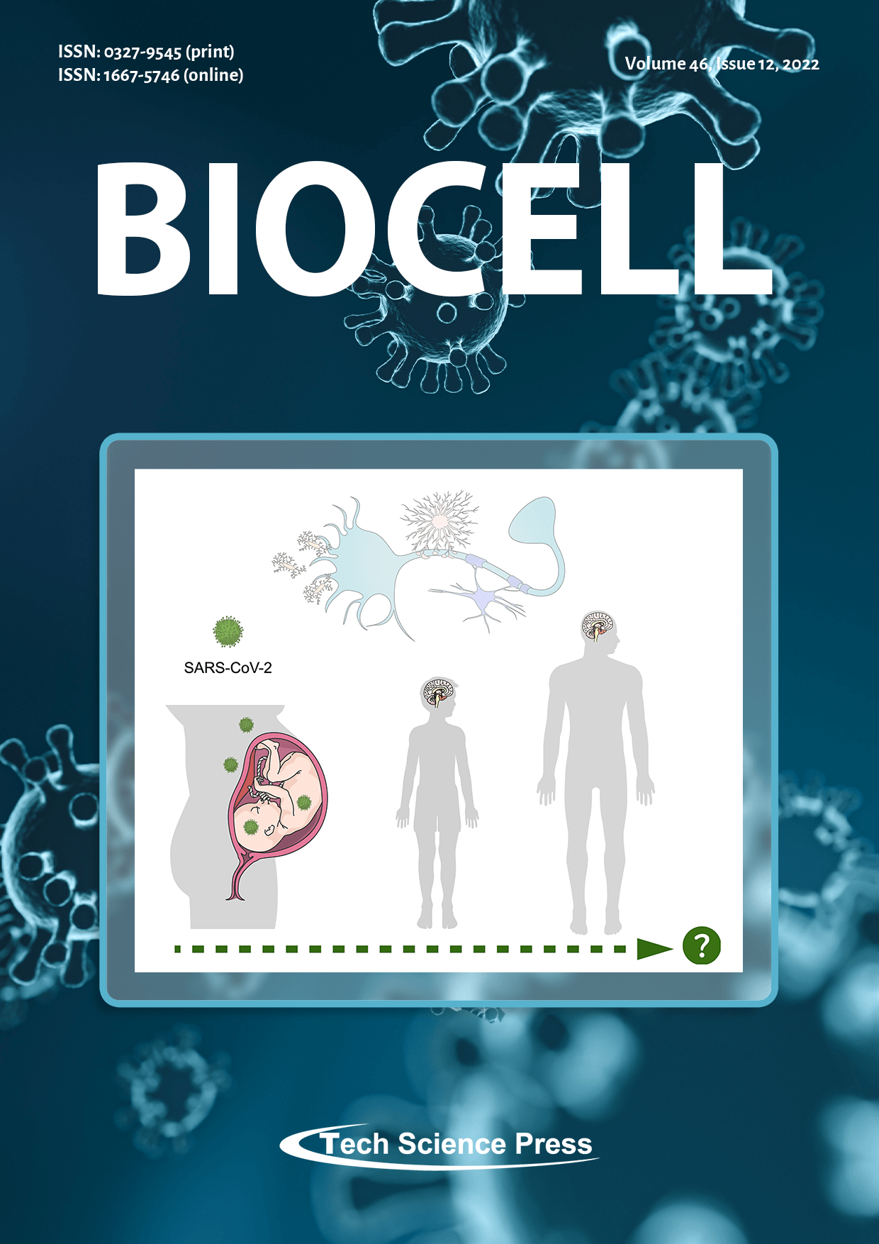 BIOCELL-Vol. 46, No. 12, 2022