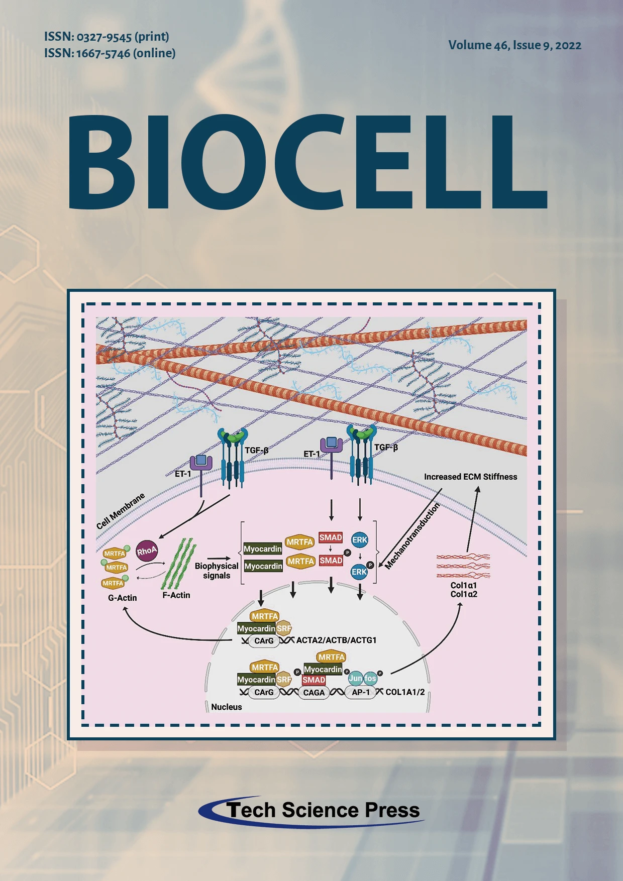BIOCELL-Vol. 46, No. 9, 2022