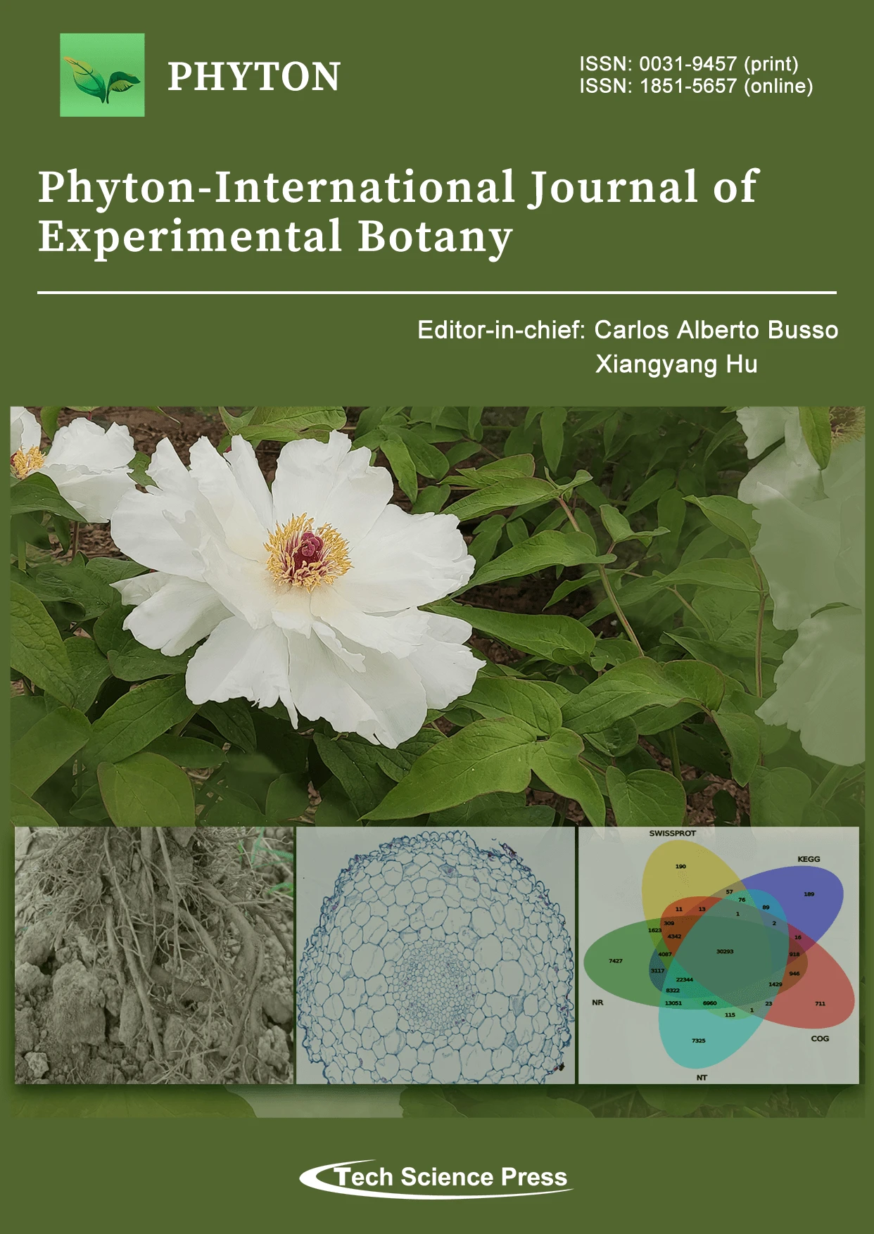 PHYTON-Vol. 91, No. 12, 2022