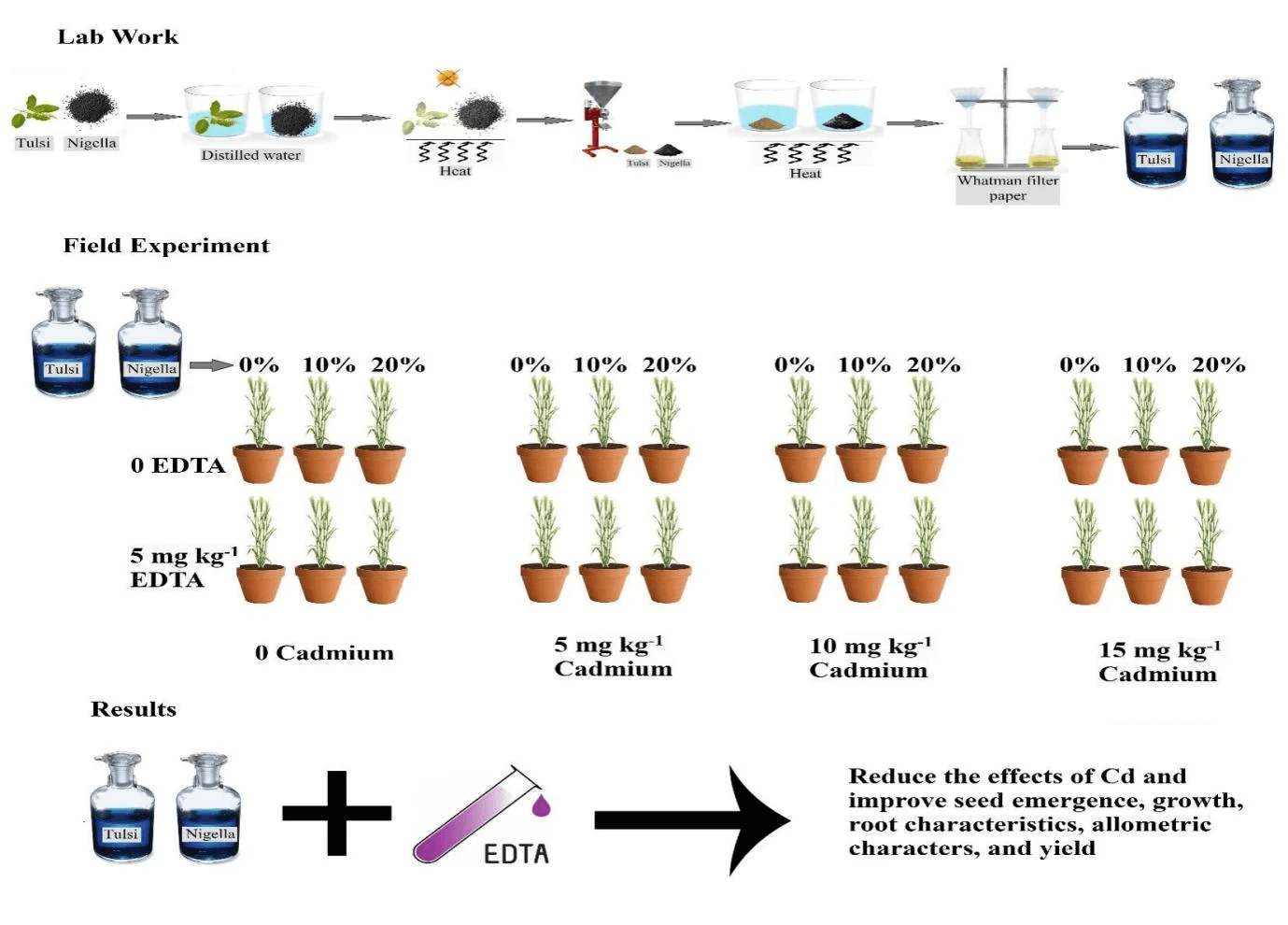 Phyton-International Journal of Experimental Botany | An Open Access ...